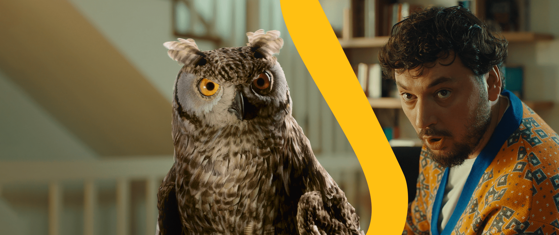 Internet i Shpejtë dhe TV me Kanale Ekskluzive | Artmotion